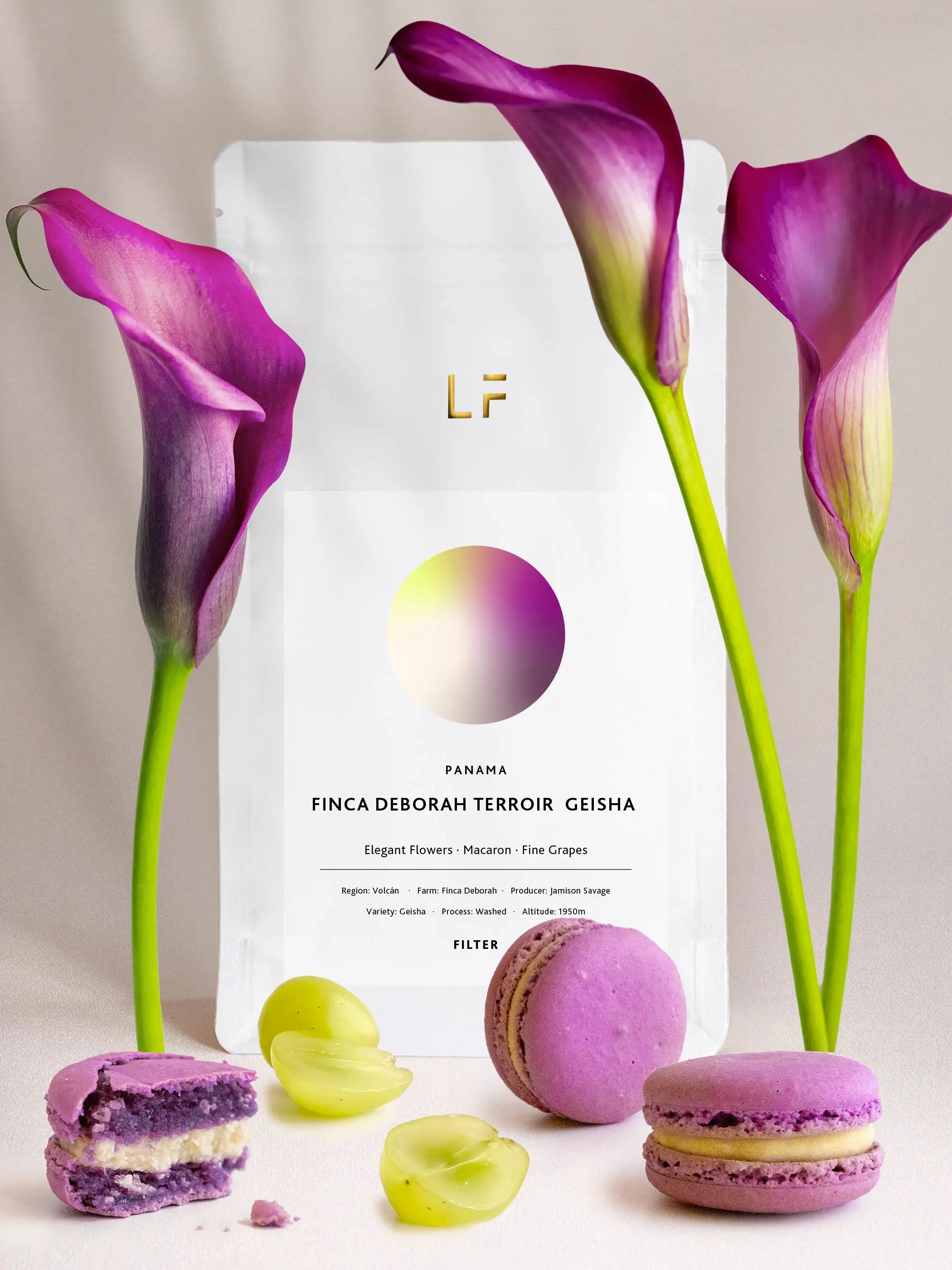 Terroir Geisha · Finca Deborah · Filter coffee Panama · LF Coffee